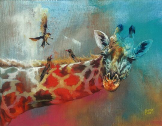 Limited Edition Prints Artwork | David Shepherd Wildlife Foundation