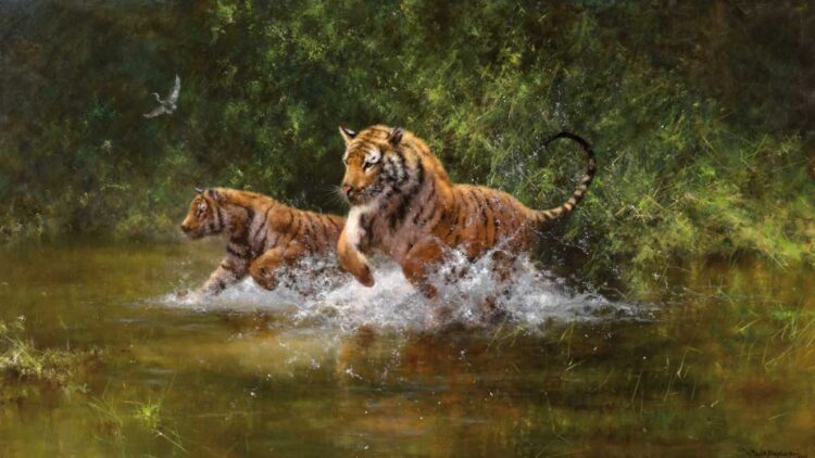 David Shepherd Paintings & Prints | David Shepherd Wildlife Foundation