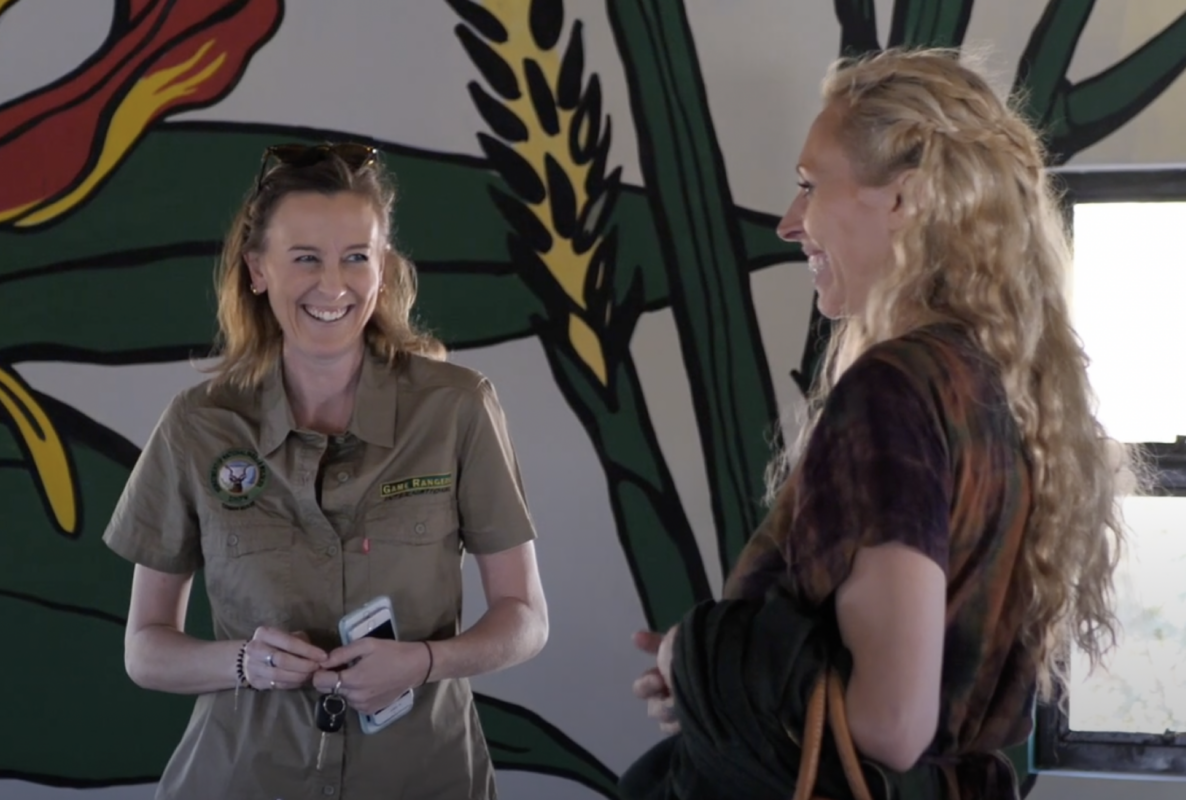 Wildlife Art | David Shepherd Wildlife Foundation