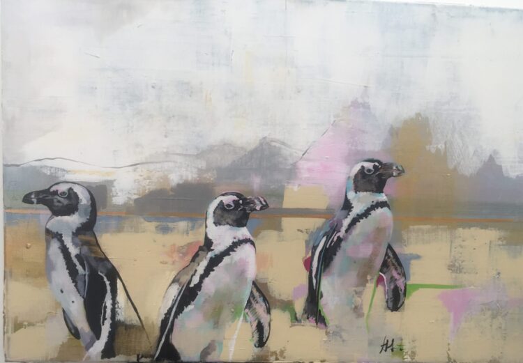Online Shop | David Shepherd Wildlife Foundation