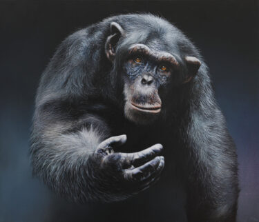 Wildlife Art Competitions | David Shepherd Wildlife Foundation