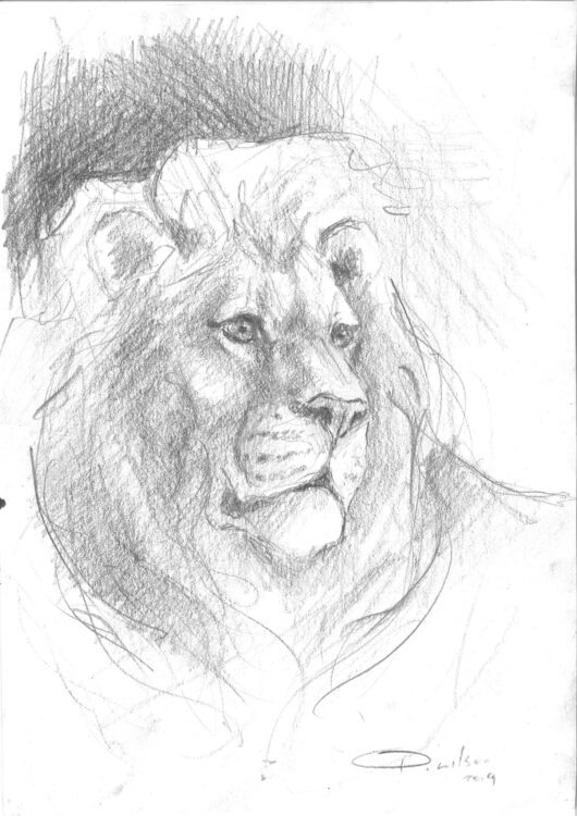 Online Shop | Page 2 of 19 | David Shepherd Wildlife Foundation