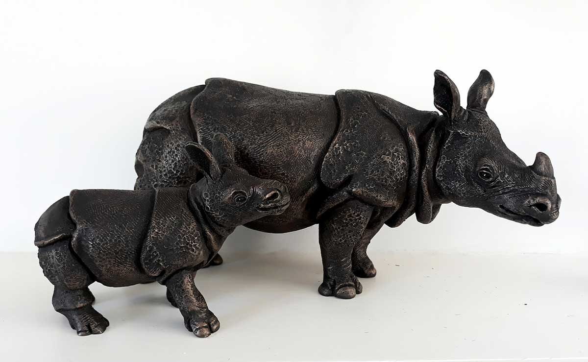 Thando & Thulani | David Shepherd Wildlife Foundation