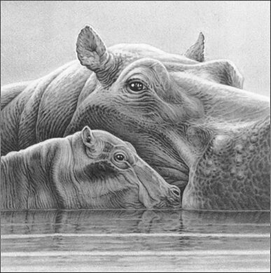 Gary Hodges Artwork | David Shepherd Wildlife Foundation