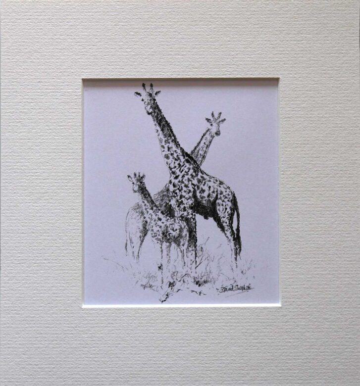 Giraffe Art: Prints, Sculptures & Paintings| David Shepherd Wildlife ...