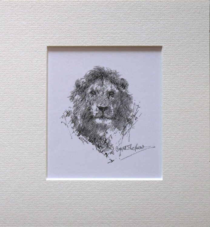 David Shepherd Paintings & Prints | David Shepherd Wildlife Foundation