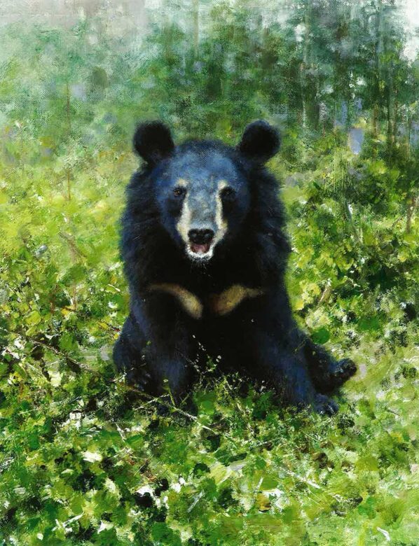 David Shepherd CBE Artwork | David Shepherd Wildlife Foundation