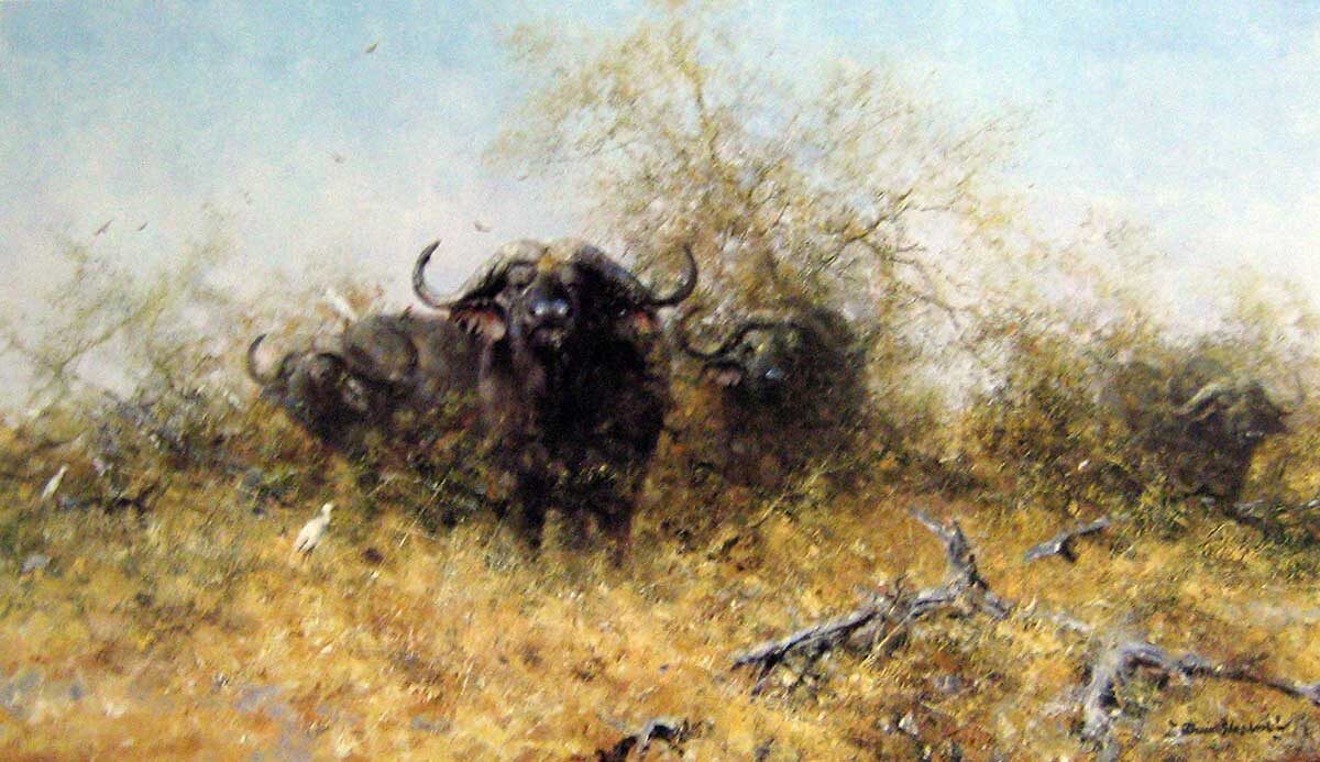 Bird Art: Paintings, Prints & Drawings David Shepherd Wildlife Foundation