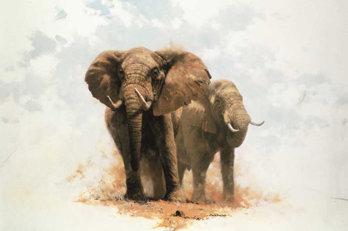 Elephant Art: Drawings, Paintings & More | David Shepherd Wildlife ...
