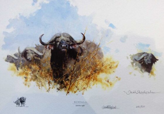 David Shepherd CBE Artwork | David Shepherd Wildlife Foundation