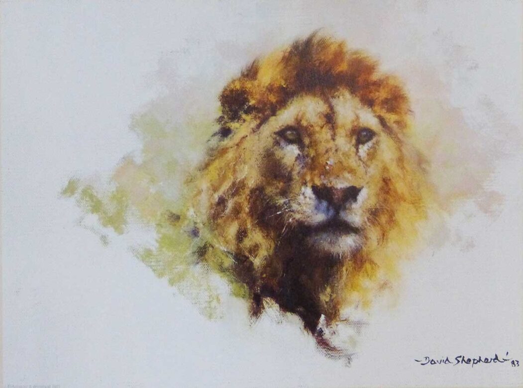 Limited Edition Prints Artwork | Page 2 of 3 | David Shepherd Wildlife ...