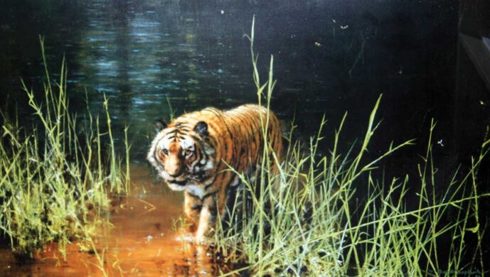 Tiger Artwork | David Shepherd Wildlife Foundation
