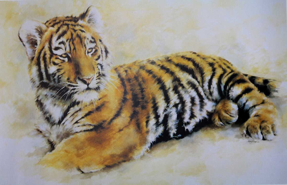 Mandy Shepherd Art: Wildlife Paintings & Prints| David Shepherd ...