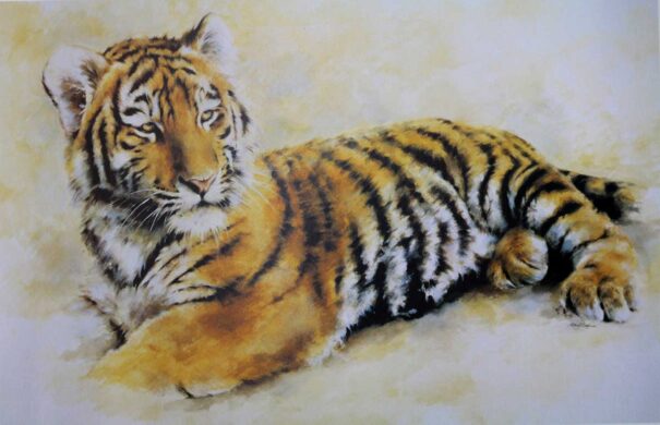 Mandy Shepherd Art: Wildlife Paintings & Prints| David Shepherd ...
