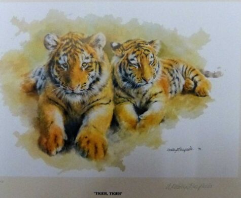 Mandy Shepherd Art: Wildlife Paintings & Prints| David Shepherd ...