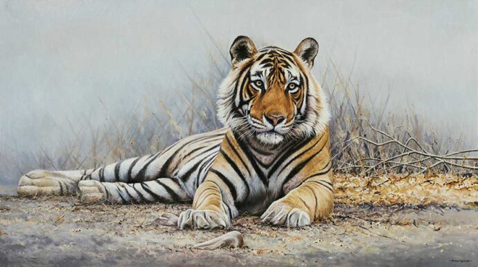 Richard Symonds Art: Wildlife Paintings & Prints | David Shepherd Wildlife Foundation