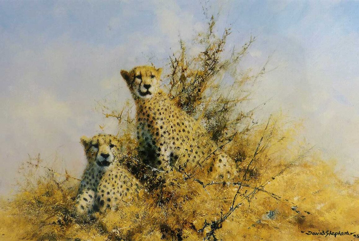 David Shepherd CBE Artwork | David Shepherd Wildlife Foundation