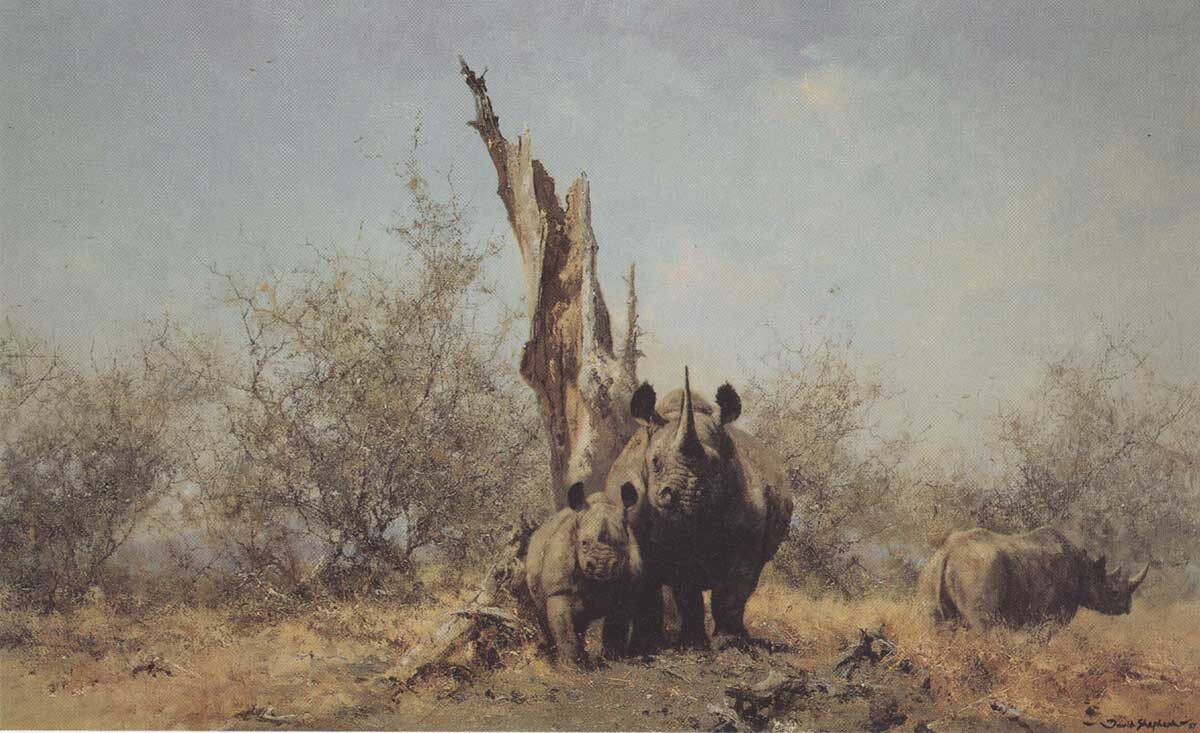 Limited Edition Prints Artwork | Page 2 of 3 | David Shepherd Wildlife ...