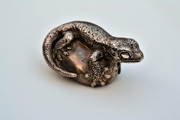 Reptile Art: Drawings, Paintings & More | David Shepherd Wildlife ...