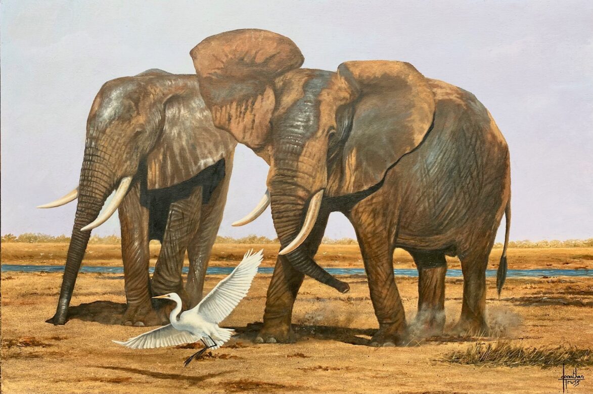 Jonathan Truss Art: Wildlife Paintings & Prints | David Shepherd Wildlife Foundation
