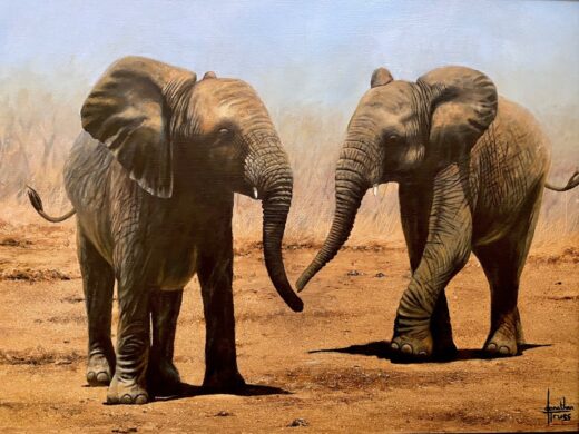 Jonathan Truss Art: Wildlife Paintings & Prints | David Shepherd Wildlife Foundation