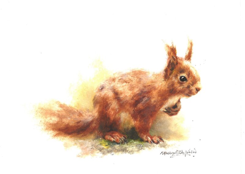 Mandy Shepherd | Wildlife Art Ambassadors | David Shepherd Wildlife ...