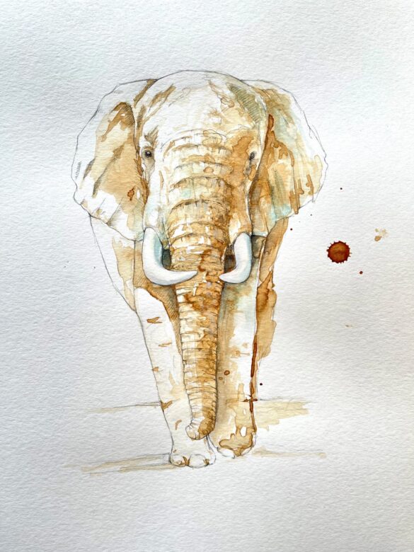 Stephen Rew Artwork | David Shepherd Wildlife Foundation