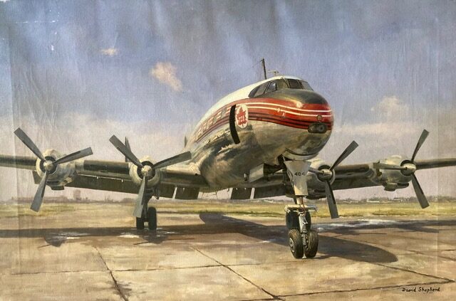 Comet 1 Nightshift | David Shepherd Wildlife Foundation