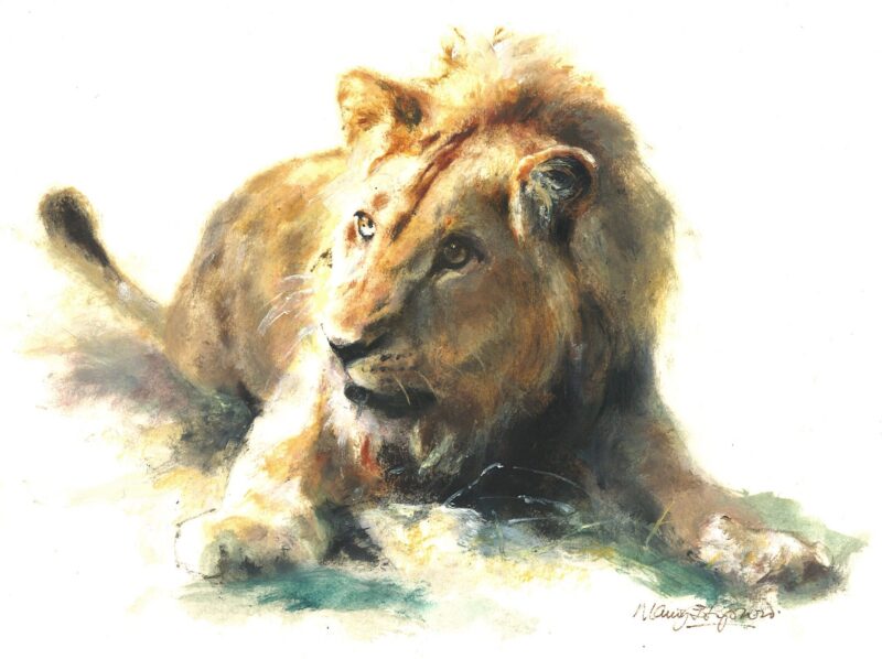 Mandy Shepherd | Wildlife Art Ambassadors | David Shepherd Wildlife ...