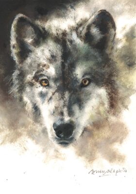 Mandy Shepherd | Wildlife Art Ambassadors | David Shepherd Wildlife ...