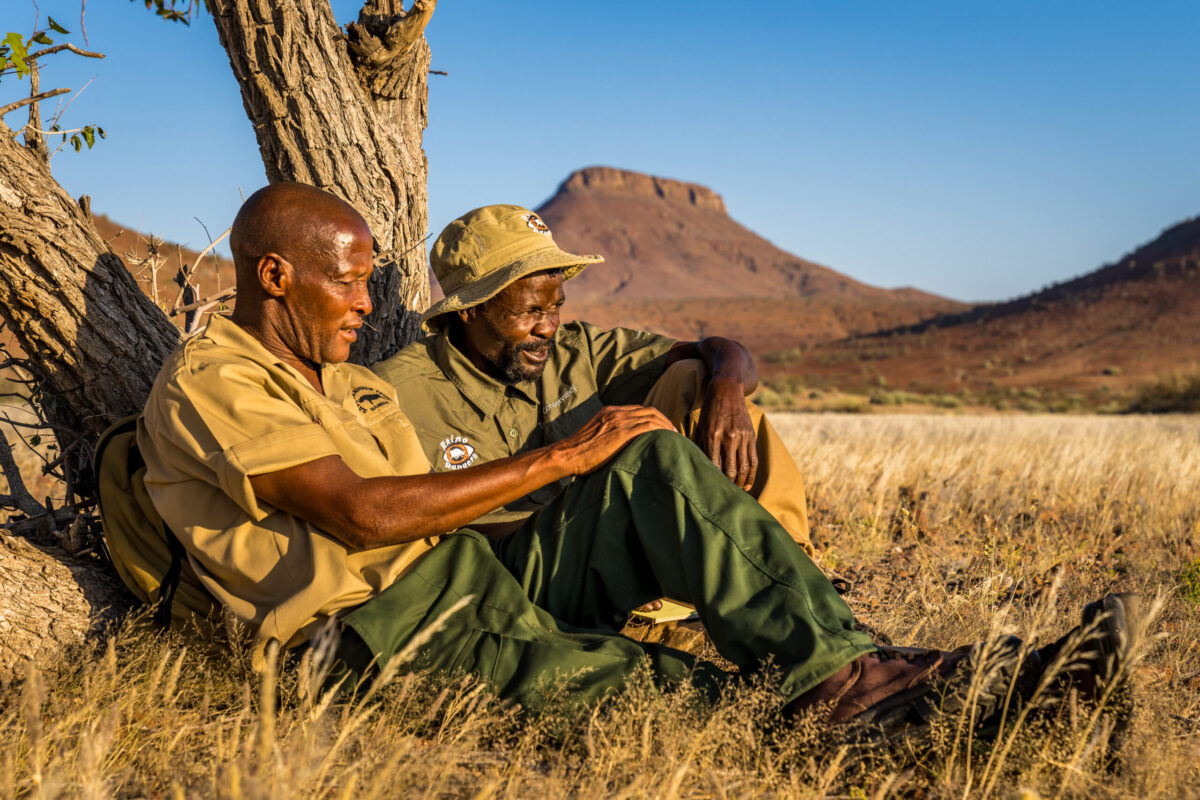 How DSWF is Protecting & Saving Painted Dogs | David Shepherd Wildlife ...