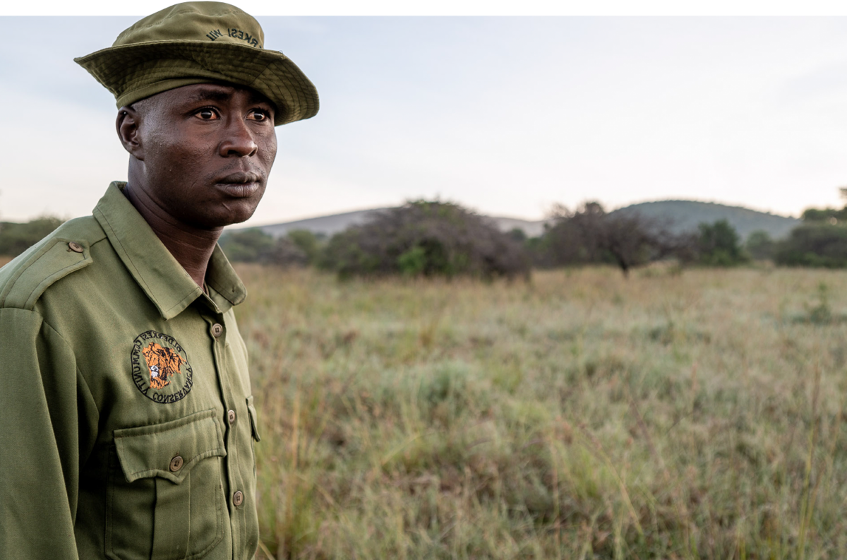 Sponsor a Ranger | David Shepherd Wildlife Foundation