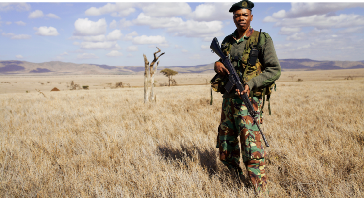 Wildlife Rangers | David Shepherd Wildlife Foundation