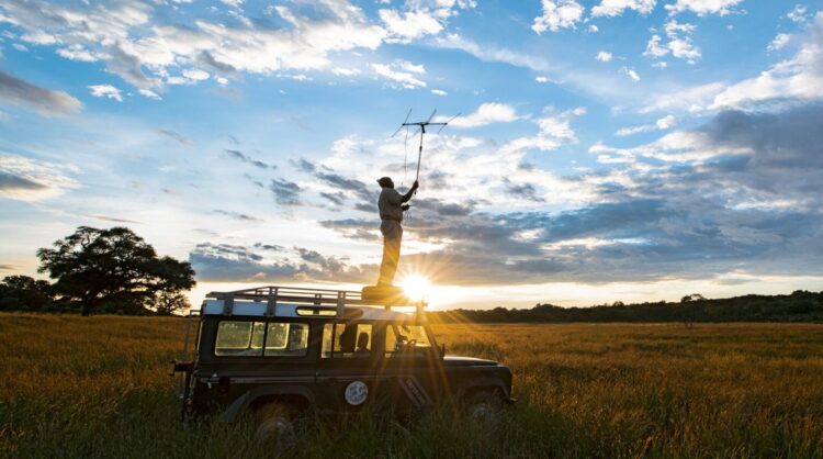 Research & Monitoring | David Shepherd Wildlife Foundation