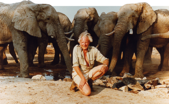 S.O.S.(L)... Save Our Snow Leopards! | David Shepherd Wildlife Foundation