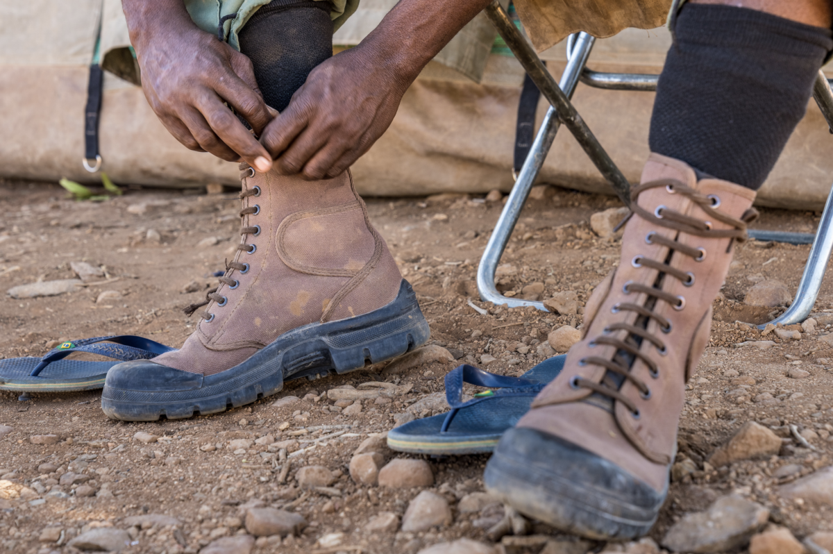 How DSWF is Protecting & Saving Elephants | David Shepherd Wildlife ...