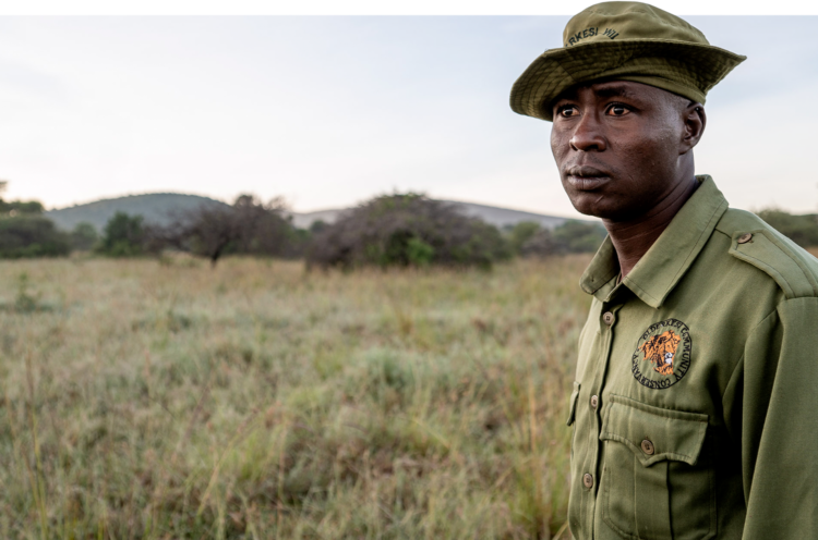 Wildlife Rangers | David Shepherd Wildlife Foundation
