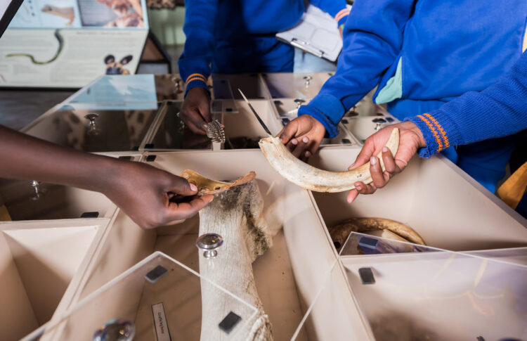 Institute For Research In Schools | For Educators | David Shepherd ...