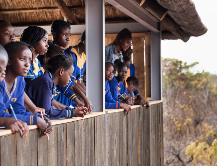 How DSWF is Protecting & Saving Chimpanzees | David Shepherd Wildlife ...