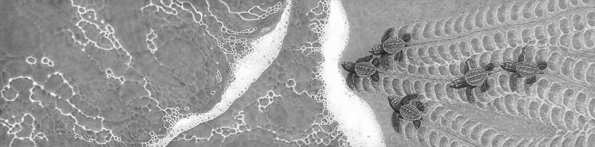 Window to the Soul (vertical) | David Shepherd Wildlife Foundation