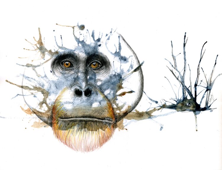 Wildlife Artist of the Year 2023 Exhibition | David Shepherd Wildlife ...