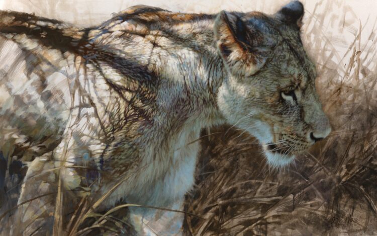 2023 WAY Winners Gallery | David Shepherd Wildlife Foundation