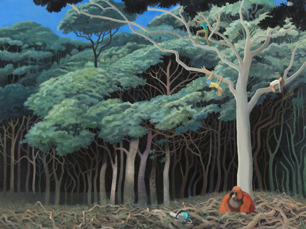 2023 WAY Winners Gallery | David Shepherd Wildlife Foundation