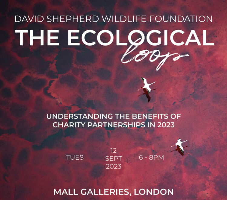 The Ecological Loop | David Shepherd Wildlife Foundation