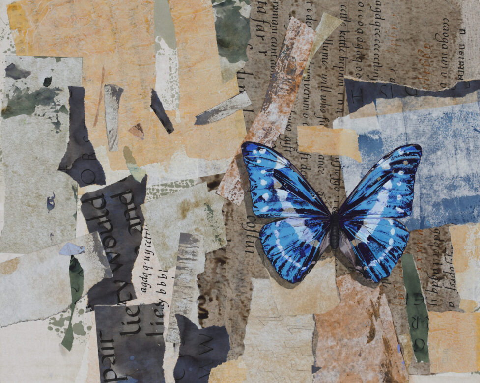 2023 Wings Gallery | David Shepherd Wildlife Foundation