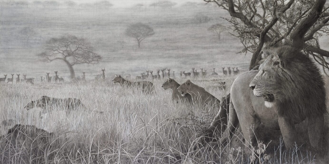 2023 Earth's Wild Beauty Gallery | David Shepherd Wildlife Foundation