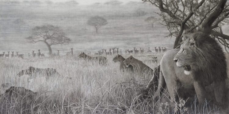 Wildlife Artist of the Year 2023 Exhibition | David Shepherd Wildlife ...