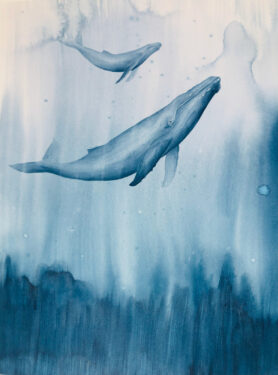 2023 Into the Blue Gallery | David Shepherd Wildlife Foundation