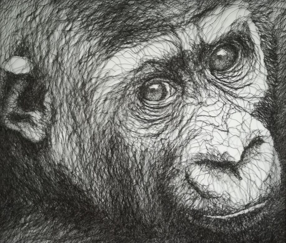 2023 Facing Extinction Gallery | David Shepherd Wildlife Foundation