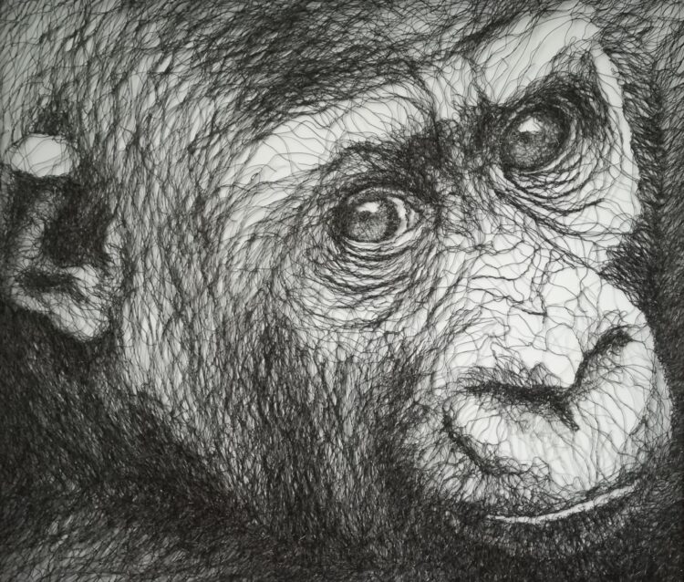 2023 Facing Extinction Gallery | David Shepherd Wildlife Foundation